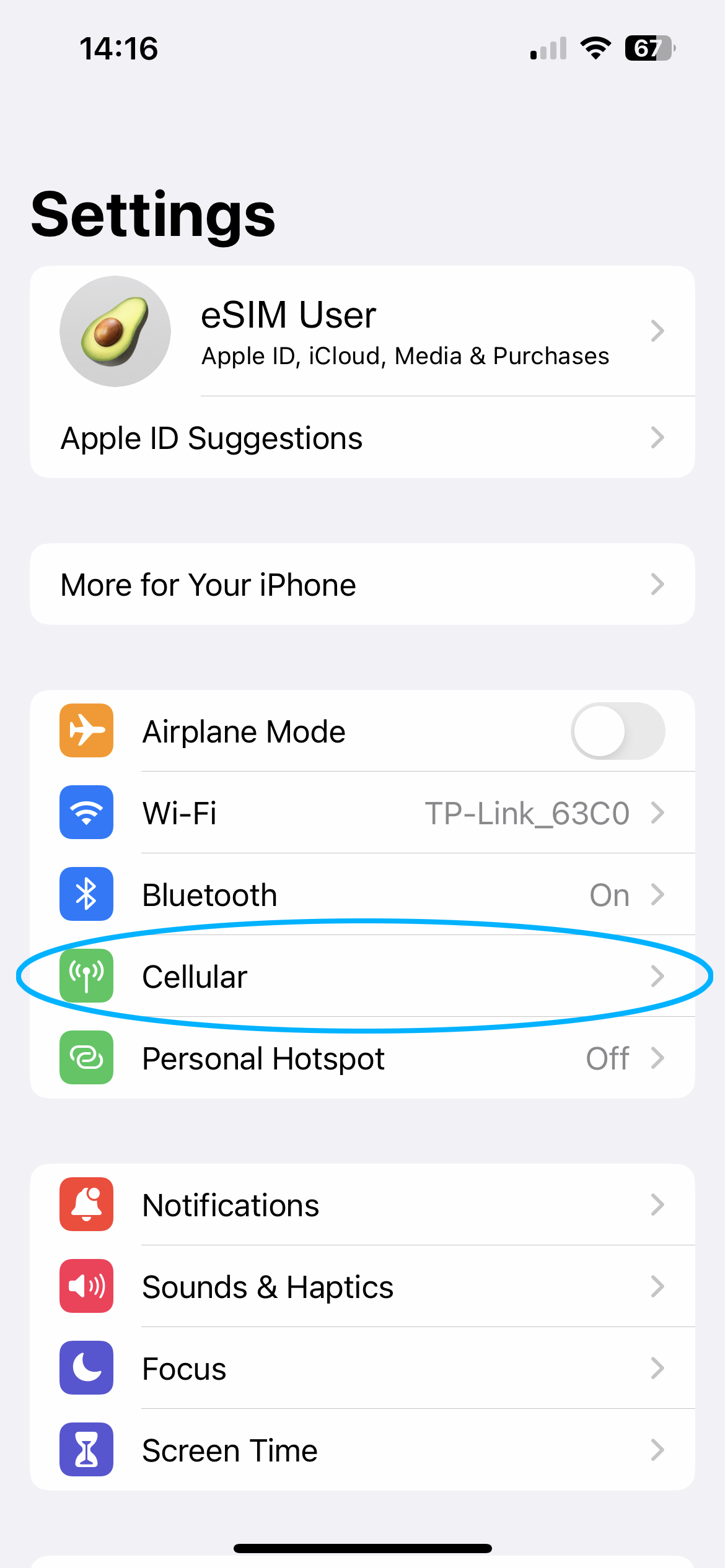 iMessage Not Working: Sending & Receiving SMS on iPhone – Maya Mobile