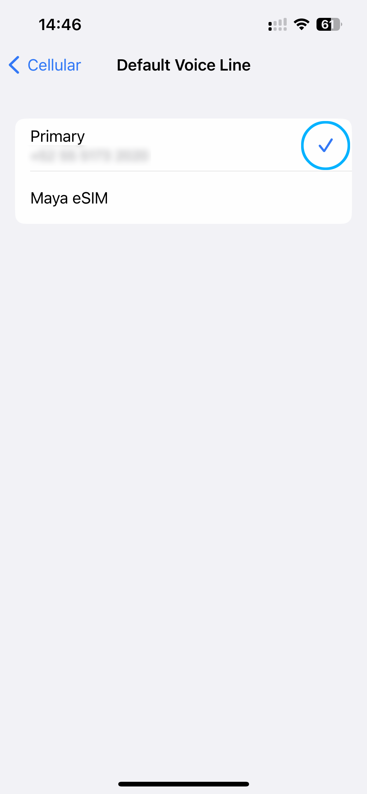 iMessage Not Working: Sending & Receiving SMS on iPhone – Maya Mobile